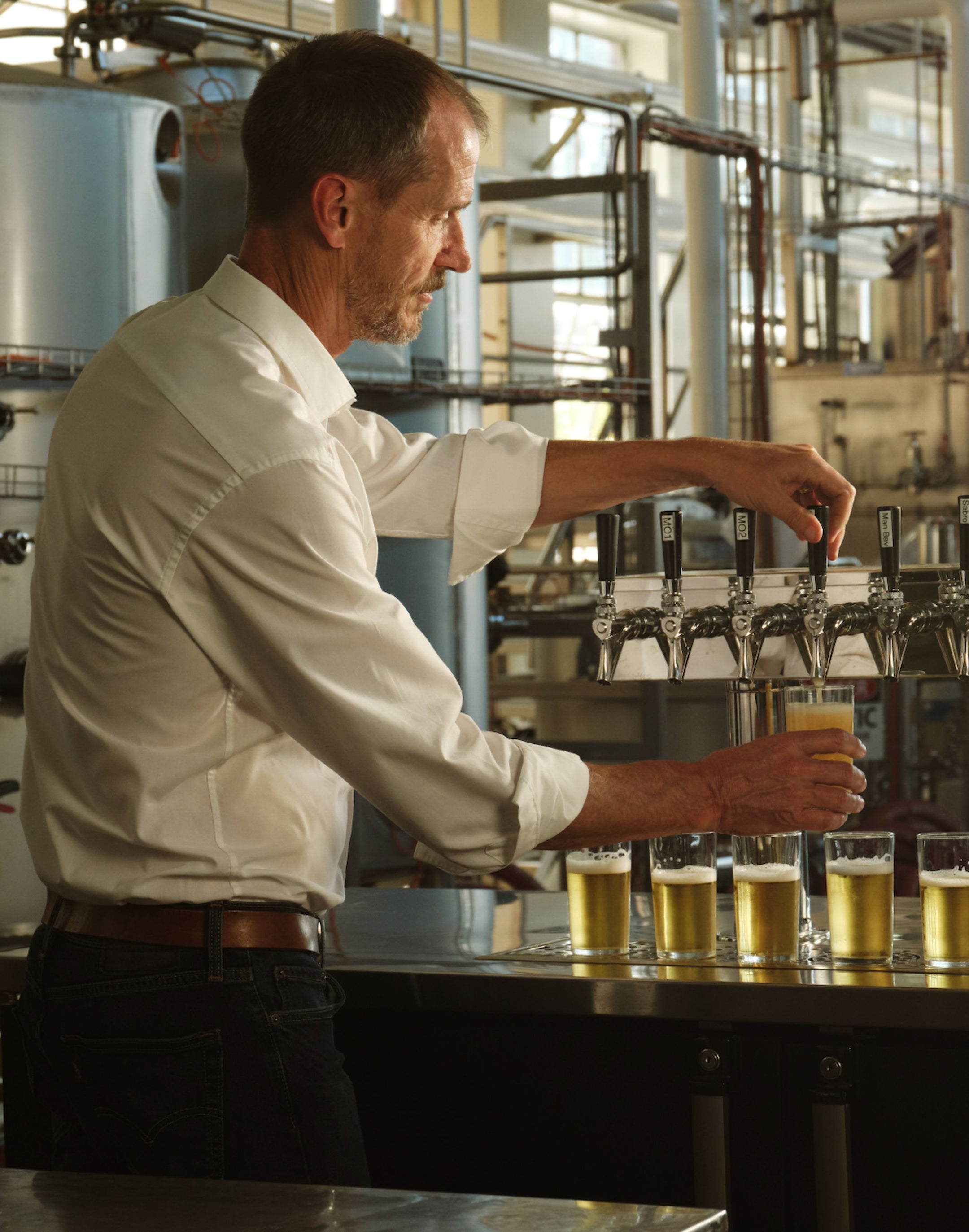 EIGHT ELITE LIGHT BEER | Lose the Additives. Keep the Taste. – EIGHT ...