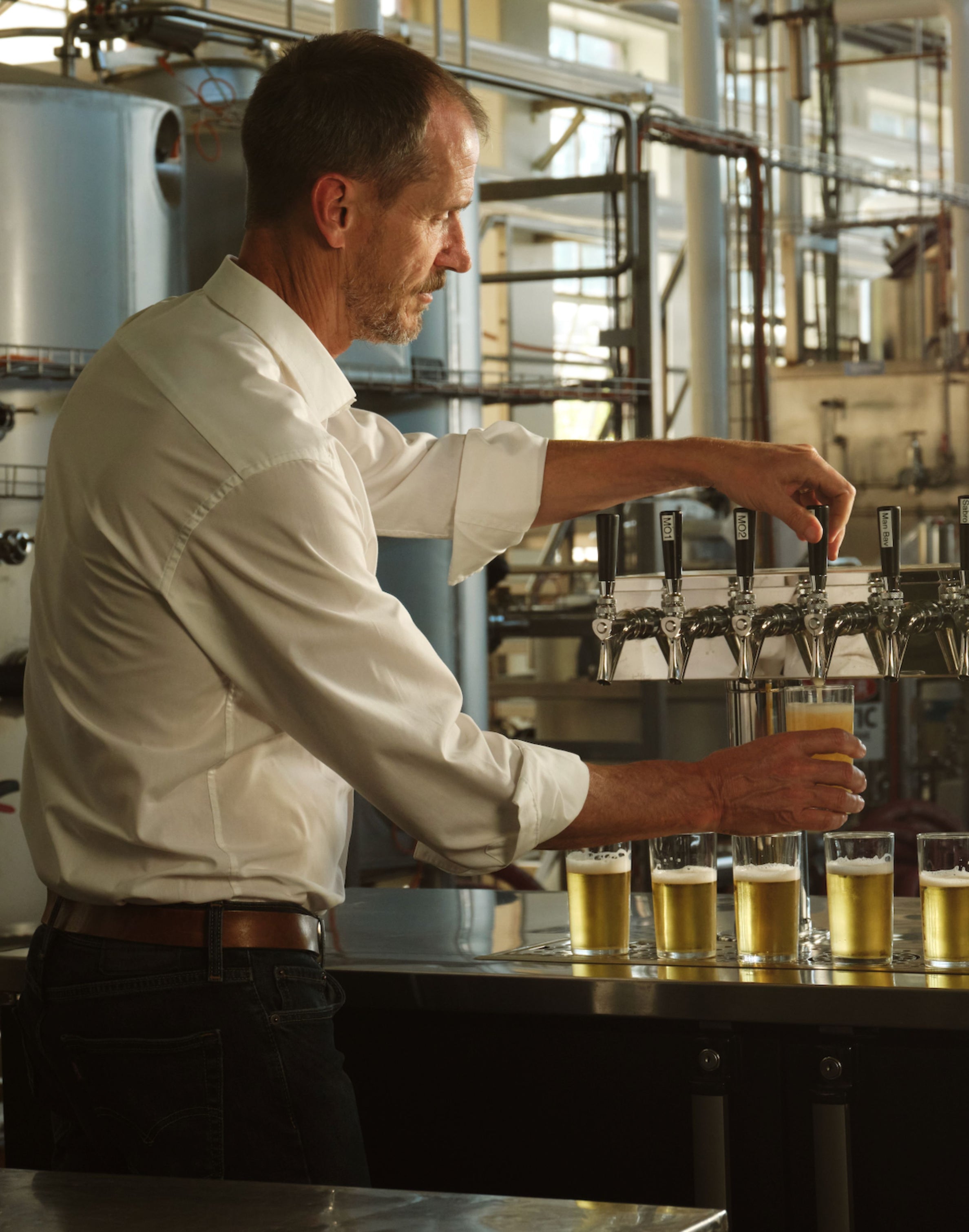 EIGHT ELITE LIGHT BEER | Lose the Additives. Keep the Taste. – EIGHT ...