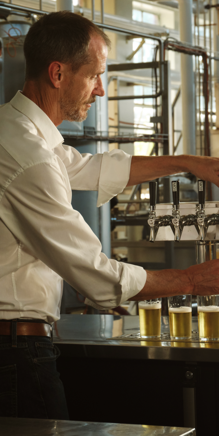 EIGHT ELITE LIGHT BEER | Lose the Additives. Keep the Taste. – EIGHT ...