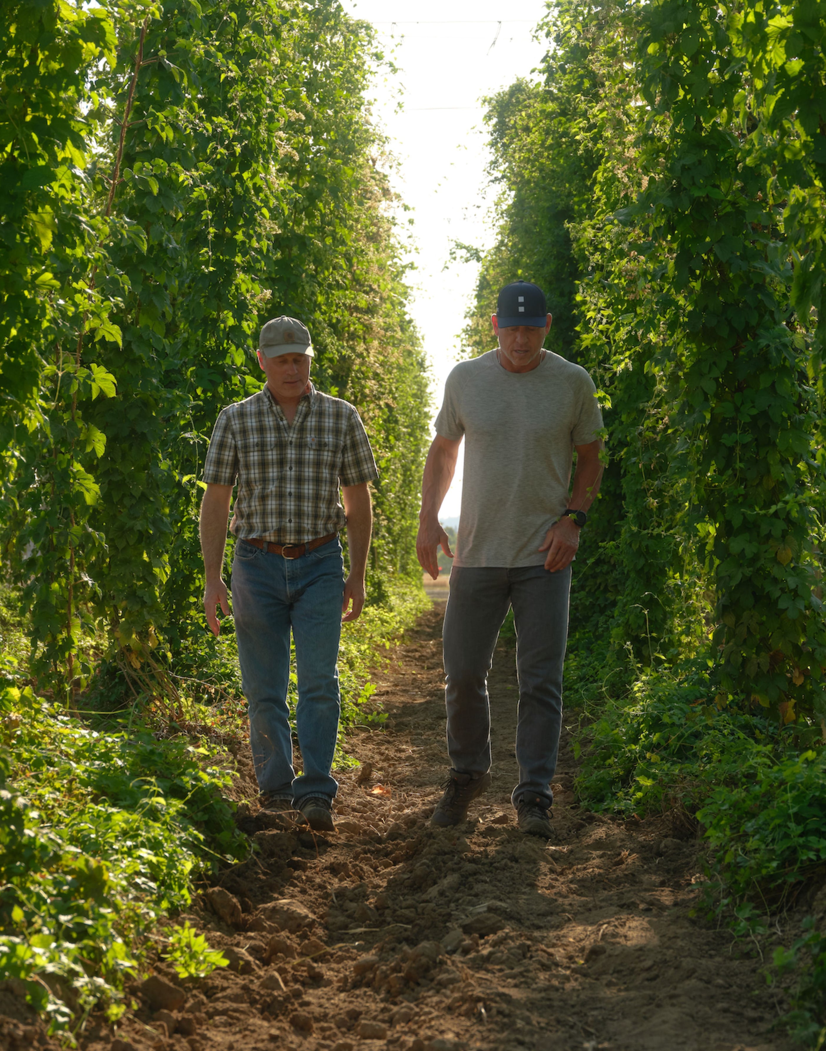 EIGHT ELITE LIGHT BEER | Lose the Additives. Keep the Taste. – EIGHT ...